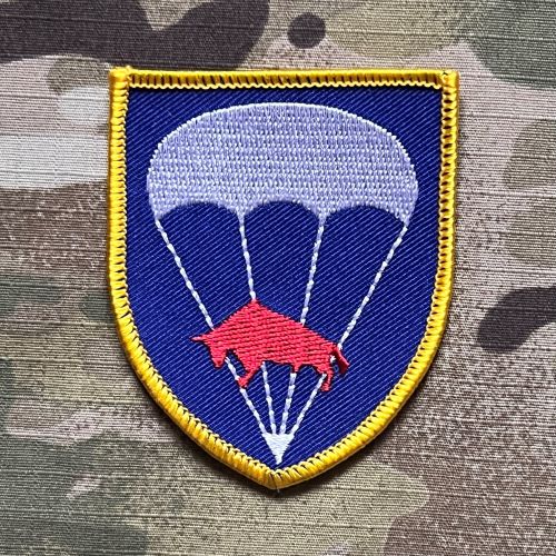 German Patch Bundeswehr FschJgBtl 314 - Fallschirmjägerbataillon 314 ...